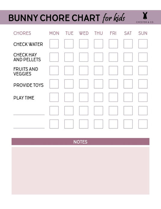Insiders Only Instant Printables – Chester & Co.