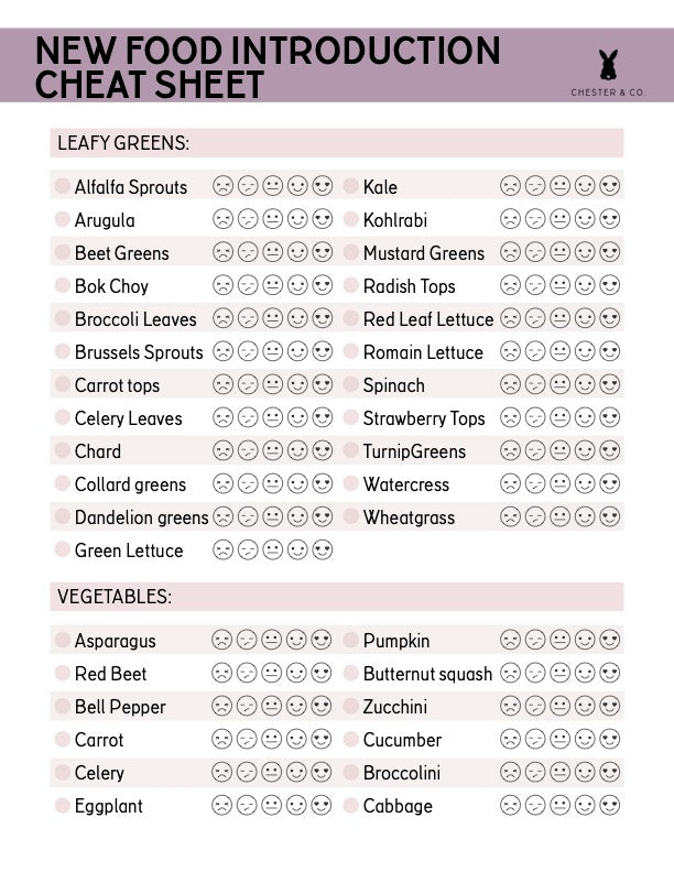 New Food Cheat Sheet – Chester & Co.