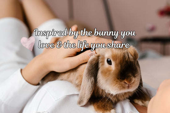 Chester & Co. | Bunny-Inspired Clothing & Cozy Home Goods