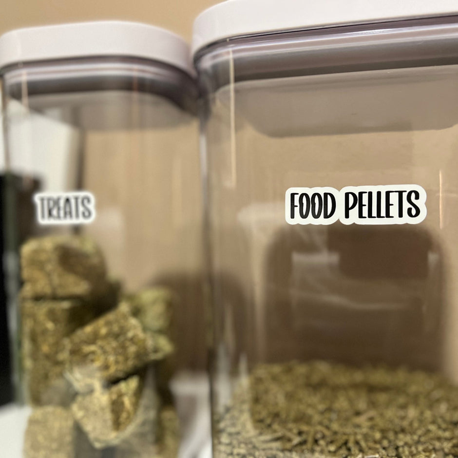 The Ultimate Bunny Diet: What to Feed (and What to Avoid) – Chester & Co.